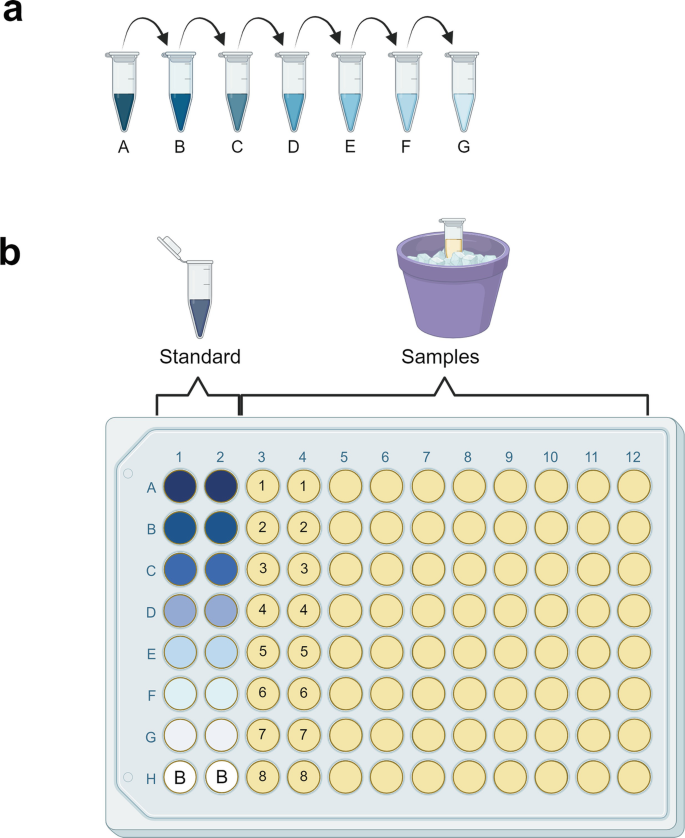 Immunoenzymatic Assays to Target Central and Peripheral Inflammatory ...