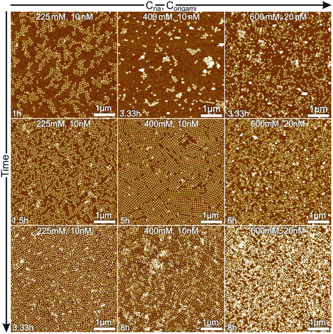 Surface-Assisted Assembly of DNA Origami Lattices on Silicon Wafers ...
