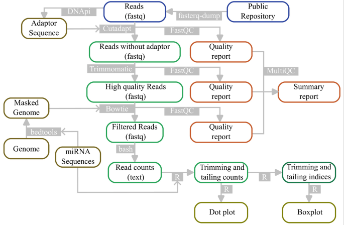 Scalable Approach to Evaluate Plant microRNA Trimming and Tailing from ...