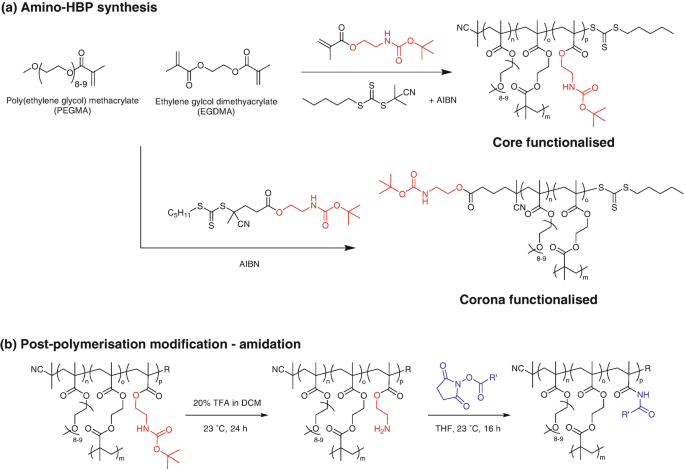 Multifunctional Biocompatible Hyperbranched Polymers as Molecular ...