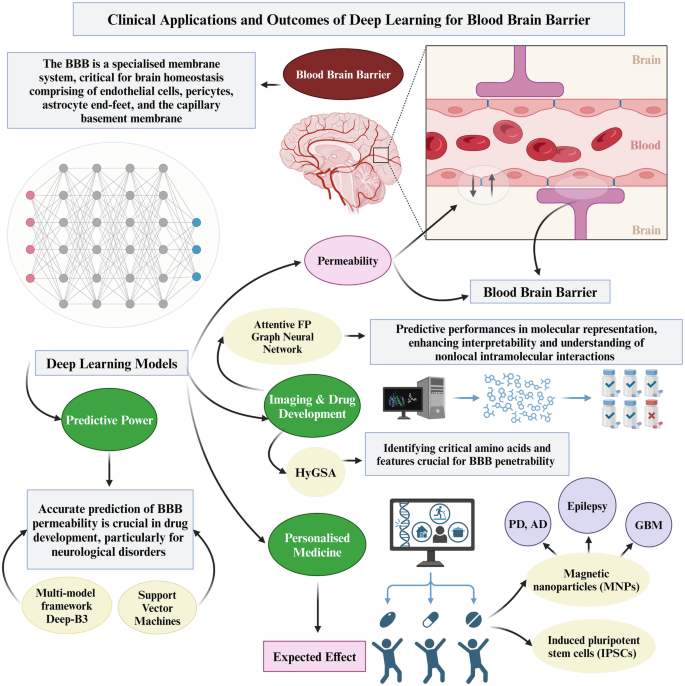 Deep Learning and Machine Learning Algorithms: A Blood-Brain Barrier ...