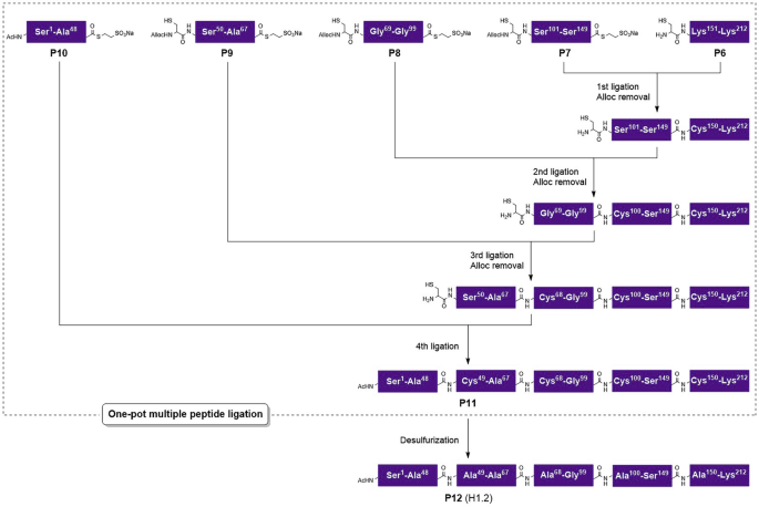 Ruthenium-Catalyzed One-pot Peptide Ligation | SpringerLink
