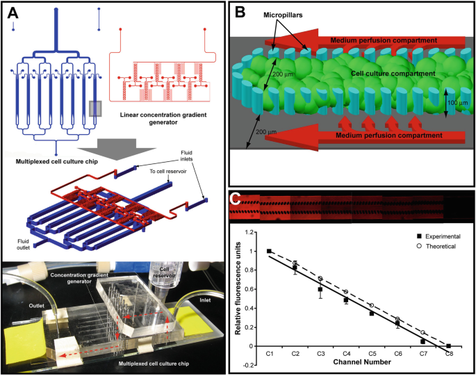 Utility of Induced Pluripotent Stem Cell-Based Microphysiological ...
