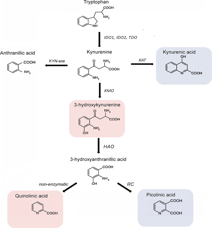 Metabolomics of the Kynurenine Pathway by Laser Desorption Ionization ...