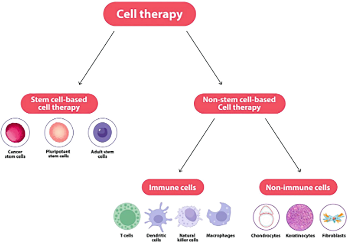 Cell-Based Therapies and Drug Delivery: Advancements and Challenges ...