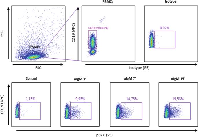 Phosphoflow: Evaluation of Protein Phosphorylation Status by ...