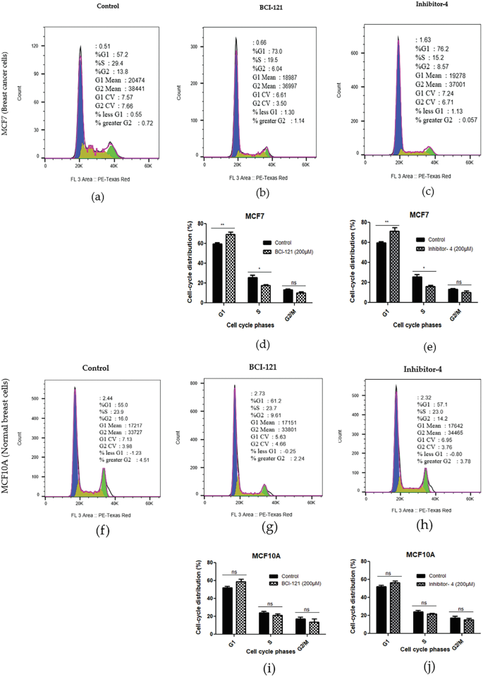 Assessing DNA Damage Through the Cell Cycle Using Flow Cytometry | SpringerLink