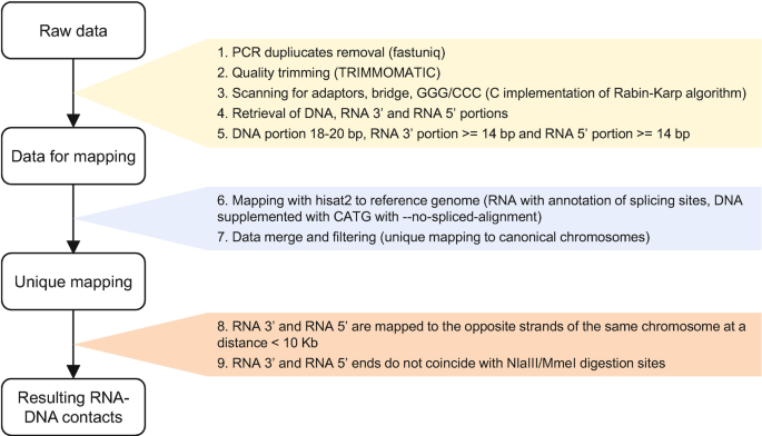 Protein-Centric Mapping of RNA–DNA Interactions with RedChIP | SpringerLink