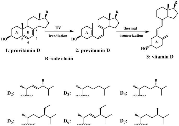 Analysis of Vitamin D and Its Respective Vitamers by Liquid ...