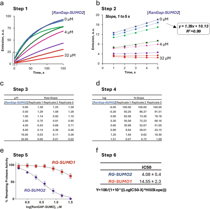 A Fluorometric Assay to Compare SUMO Isoform Preferences in the SENP ...