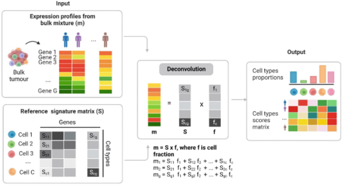 Deciphering the Tumor Microenvironment Composition Using Bulk ...