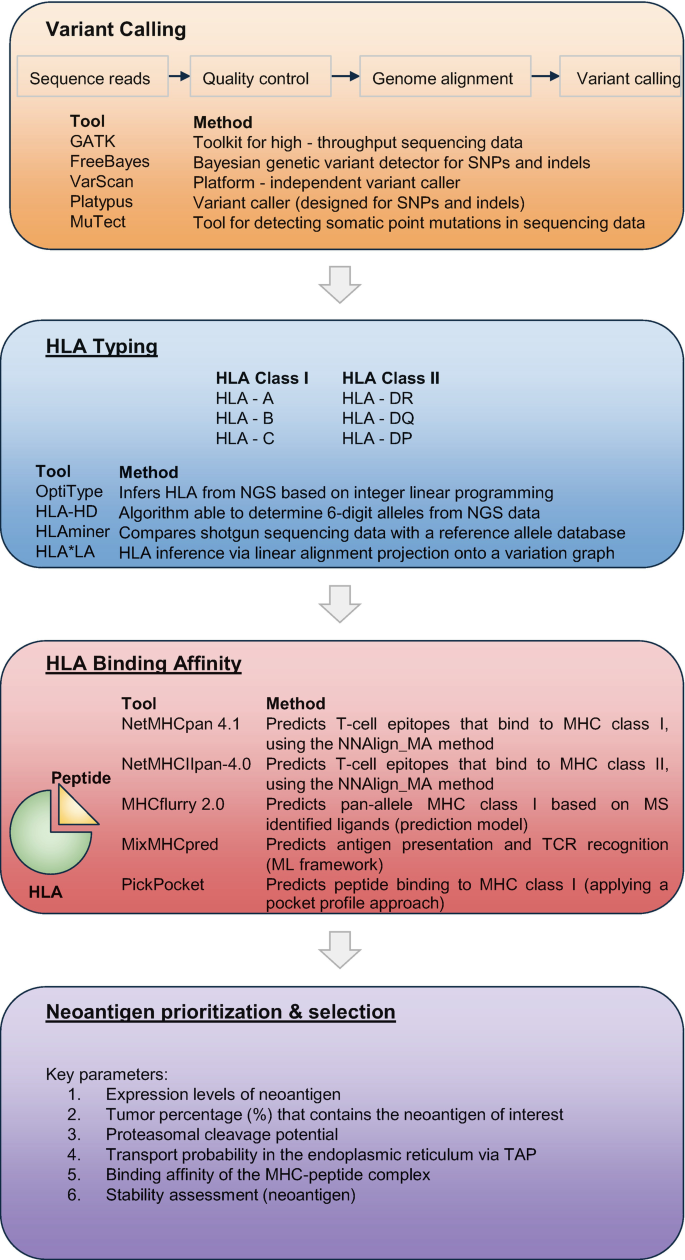 Computational Methods for Cancer Neoantigen Prediction | SpringerLink