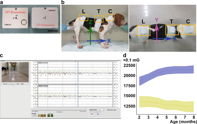 Digital Outcome Measures for Gait and Spontaneous Locomotor Activity in ...