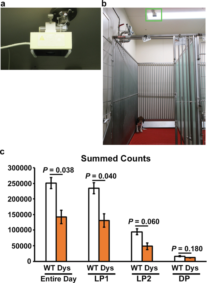 Digital Outcome Measures for Gait and Spontaneous Locomotor Activity in ...