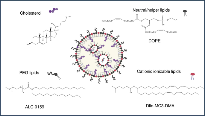 Lipid Nanoparticles for the Delivery of mRNA | SpringerLink