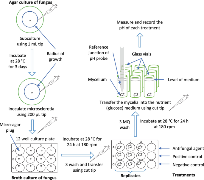 Extracellular Acidification Assay to Evaluate the Effectiveness of ...