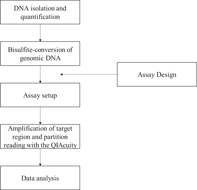 Multiplex Digital PCR Assay Targeting DNA Methylation for Early ...