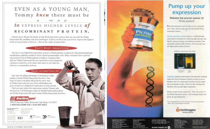 A Brief History of the Pichia pastoris Expression System | SpringerLink