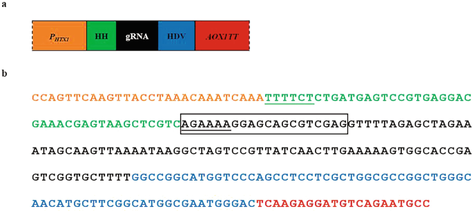 Engineering Pichia pastoris Strains Using CRISPR/Cas9 Technologies: The ...