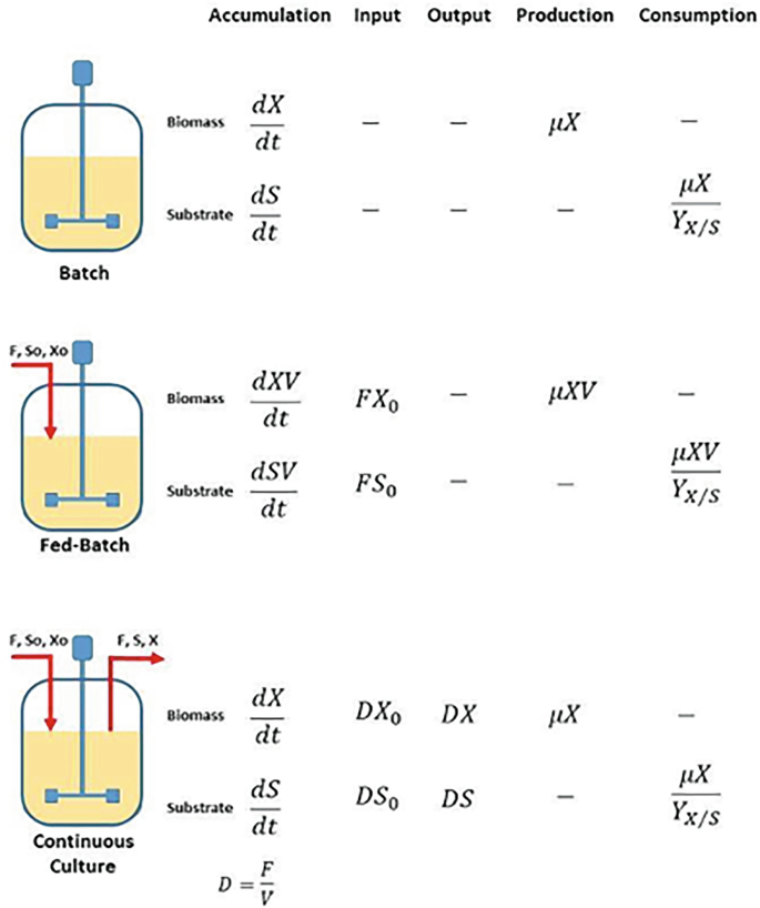 Kinetic Modeling of Pichia pastoris Bioreactor Systems Under Different ...