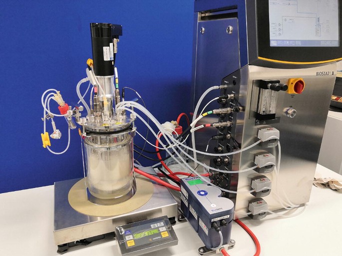Off-Gas Balancing for Bioprocess Monitoring Pichia pastoris ...