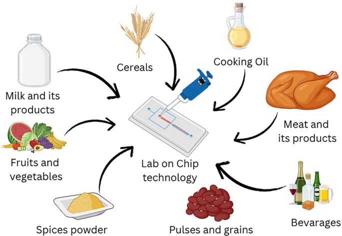 Lab-on-a-Chip Protocols for Adulterant Detection in Foods | SpringerLink
