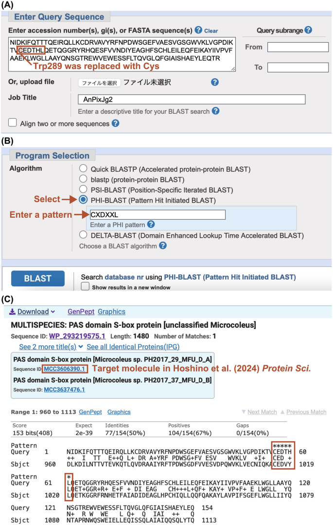 Discovery and Engineering of Unique Cyanobacteriochrome GAF Domains ...