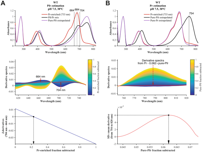 Characterizing Phytochrome Photochemistry Using UV–Visible Spectroscopy ...