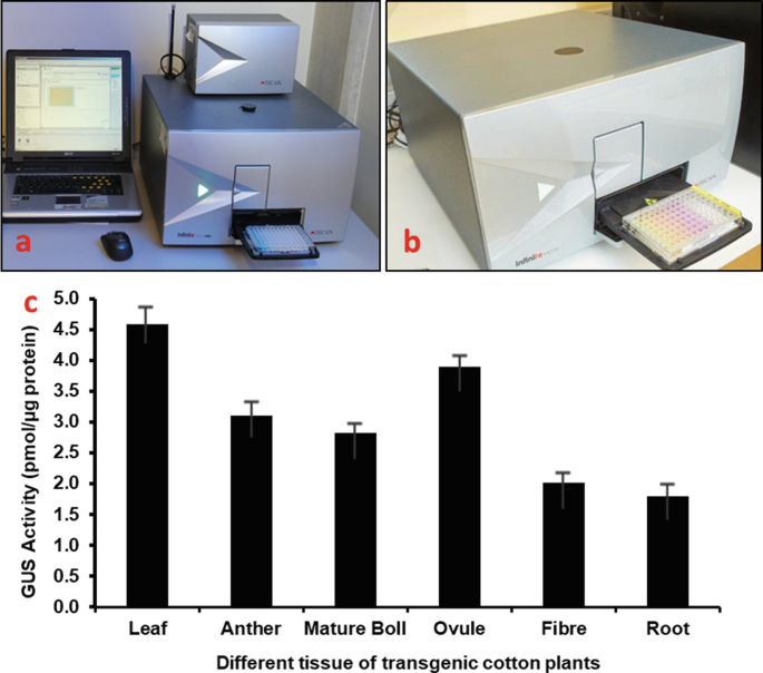 Characterization of Transgenic Cotton Plants by GUS Histochemical ...
