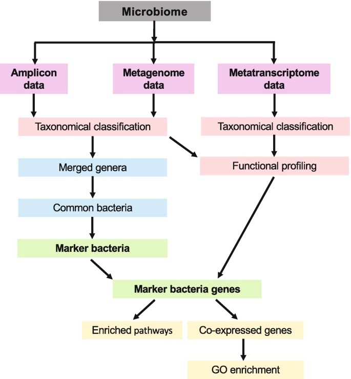 A Multi-omics Approach for Microbiome Data Analysis in Legumes ...