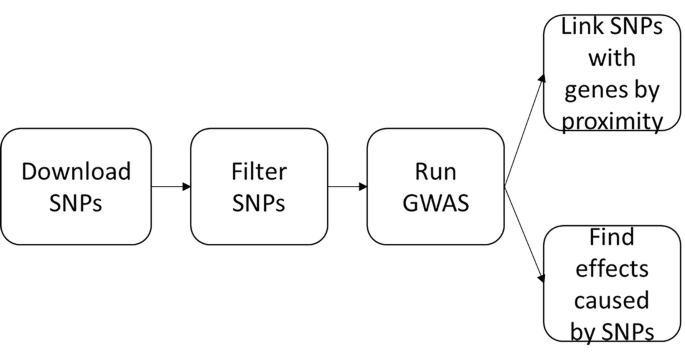 Genome-Wide Association Study: A Soybean Example | Springer Nature Link ...