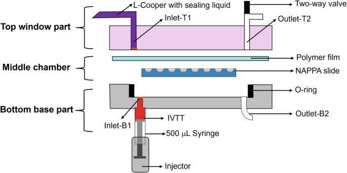 Nucleic Acid Programmable Protein Arrays for Autoantibody Discovery: A ...