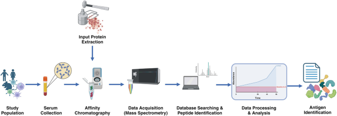 Identification of Antibody-Cognate Antigens via a High-Throughput ...