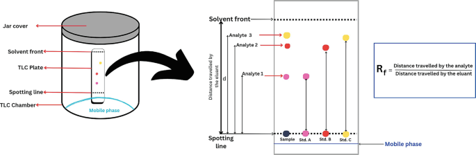 Isolation and Characterization of Fatty Acids | SpringerLink