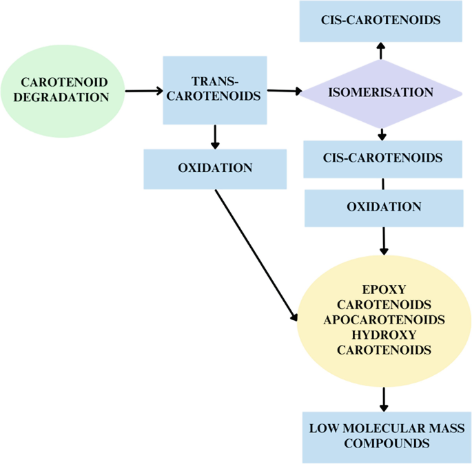 Extraction and Quantification of Plant-Based Carotenoids | Springer ...