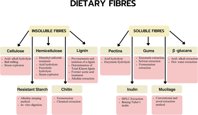 Extraction and Quantification of Dietary Fibers and Health-Promoting ...