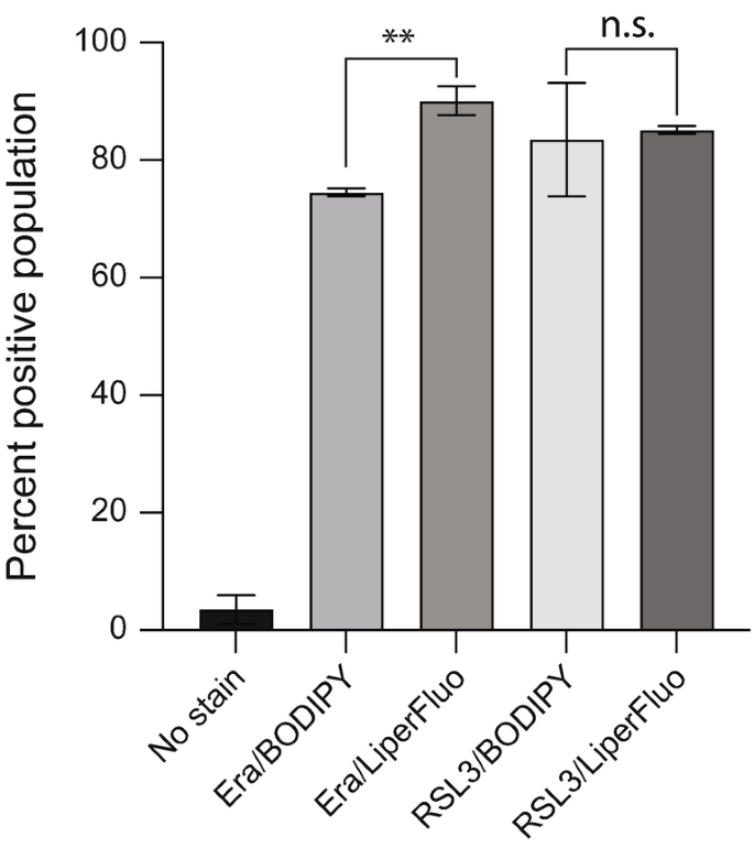 Detection of Ferroptosis by Liperfluo and BODIPY™ 581/591 C11 ...