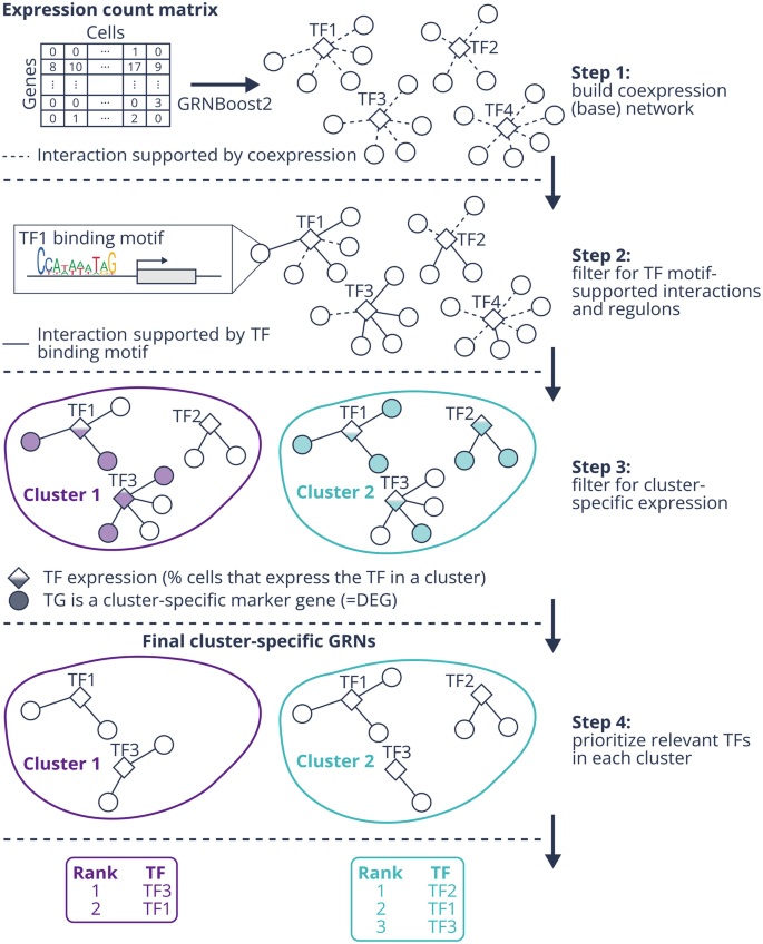 MINI-EX Version 2: Cell-Type-Specific Gene Regulatory Network Inference ...