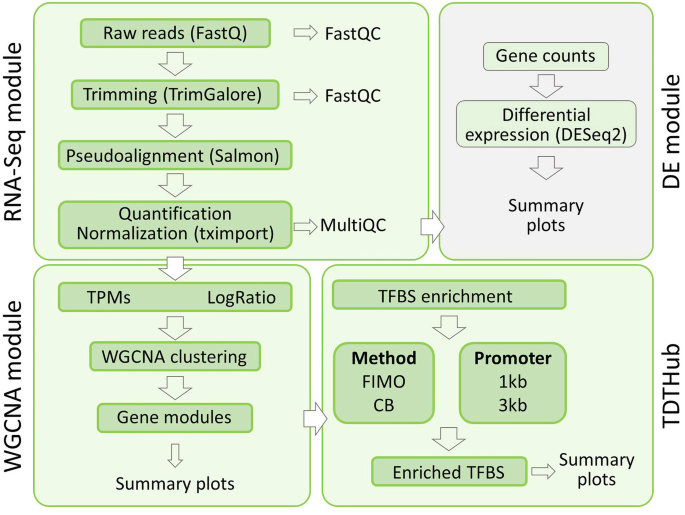 A Practical Guide to Gene Regulatory Networks in Plants: From RNA ...