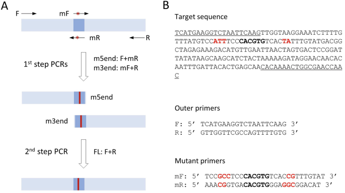 Targeted DNA Affinity Purification for Quantifying DNA-Binding ...