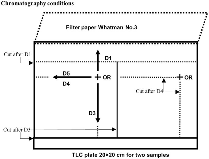32P-Postlabeling Analysis of DNA Adducts | Springer Nature Link