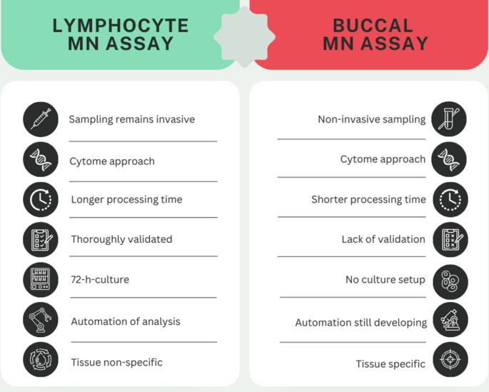 Micronucleus Assay in Human Lymphocytes and Exfoliated Buccal Cells ...
