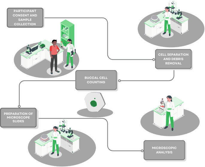 Micronucleus Assay in Human Lymphocytes and Exfoliated Buccal Cells ...