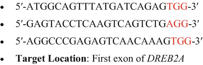 Target-Specific Single Guide RNA (sgRNA) Design and In Vitro Validation ...