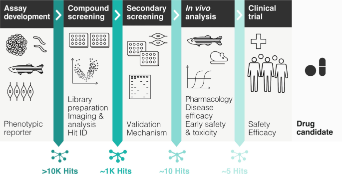 High-Content Screening Framework for Academic Early Drug Discovery ...