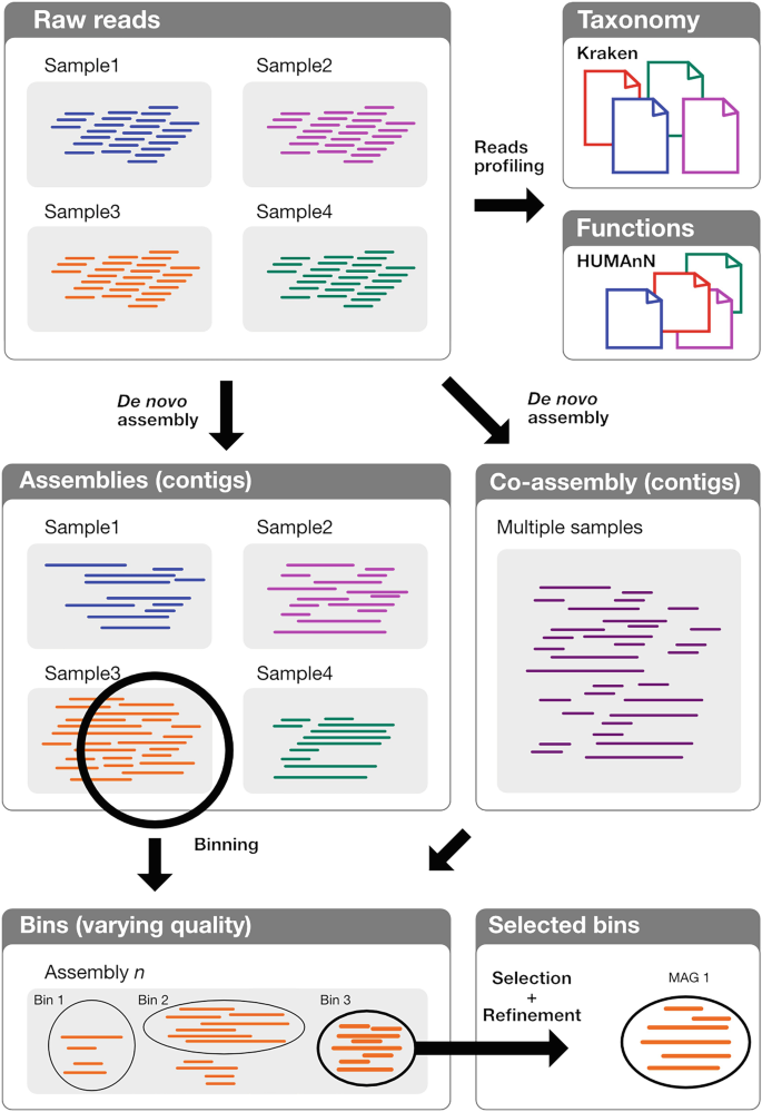 Bioinformatics Processing of Whole Metagenome Shotgun Datasets ...
