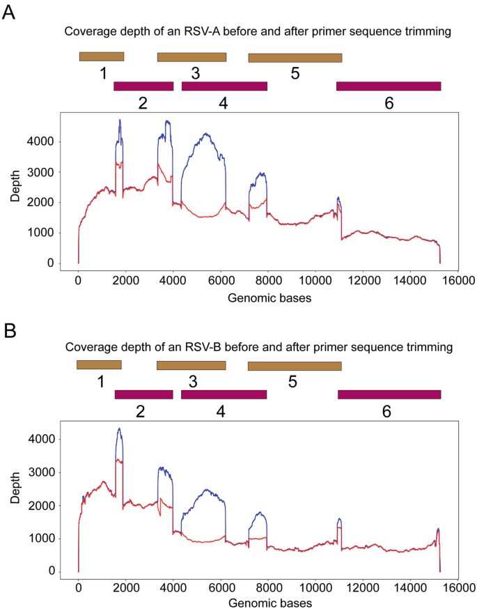 Sequencing RSV Whole Genome Using a Long Amplicon-Based Method with ...