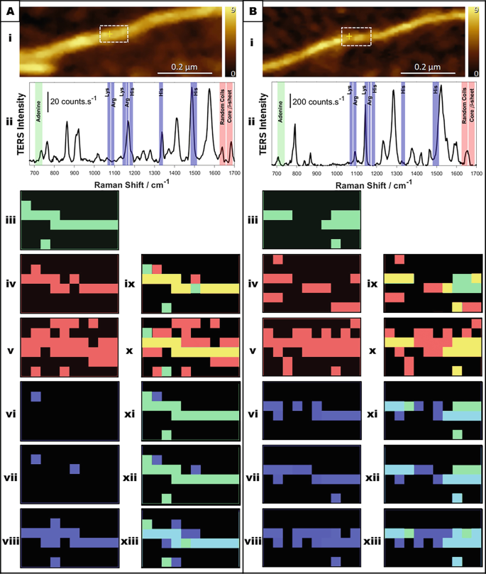 Tip-Enhanced Raman Spectroscopy of RNAs | Springer Nature Link