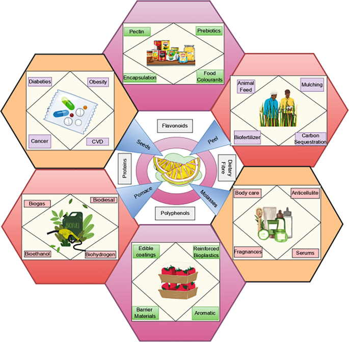 Overview of Citrus By-Products: Market Potential and Applications ...