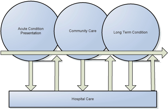 Electronic Health and Care Records | Springer Nature Link (formerly ...